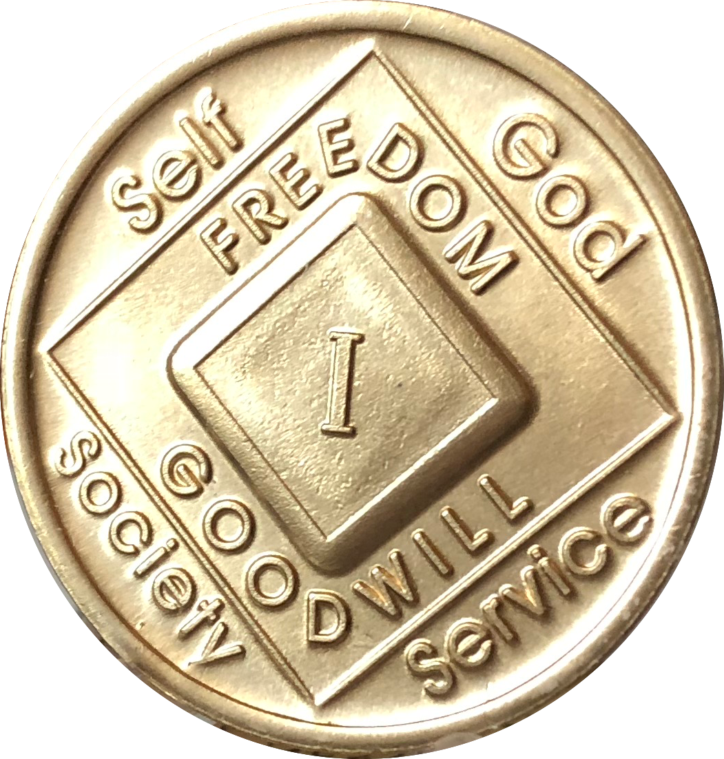 1 Year NA Bronze Medallion Official Narcotics Anonymous Clean Time Sob ...