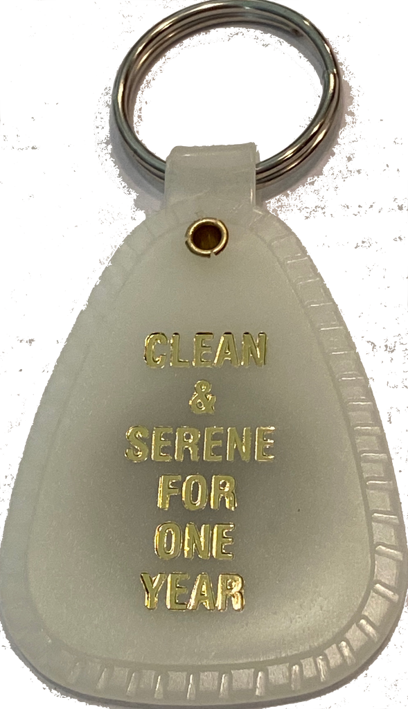 NA 1 Year Clean Keytag Glow In The Dark Narcotics Anonymous Keychain ...