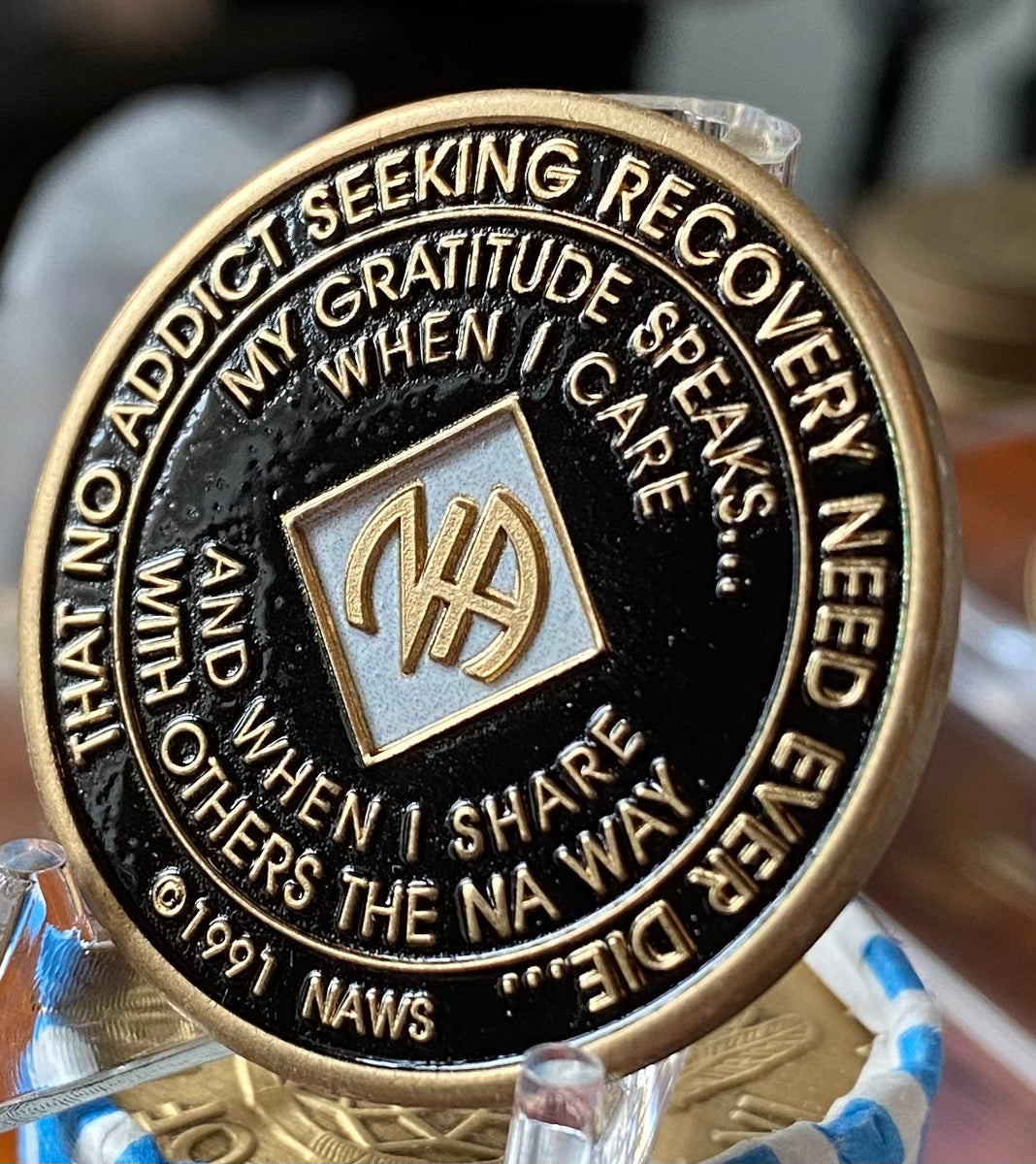 45 Year Official NA Medallion Blue and White Narcotics Anonymous Clean ...